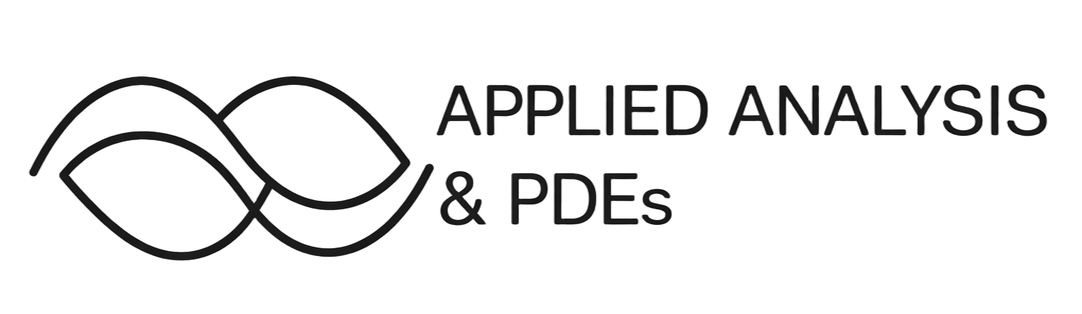 Applied Analysis & PDEs Lab | Nicola De Nitti