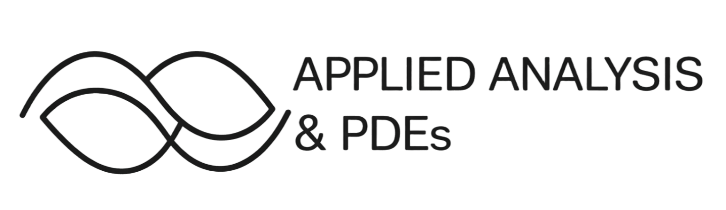 Applied Analysis & PDEs Lab | Nicola De Nitti